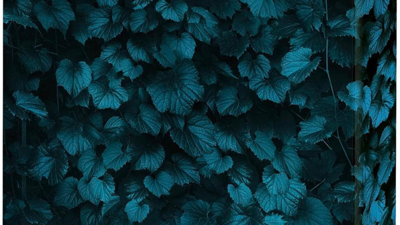 Der Nachbar von Sebastian Fitzek– Das Böse wohnt nebenan ...